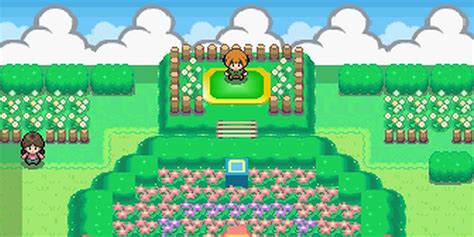 Pokemon 10 Things You Didnt Know About Gym Leader Gardenia