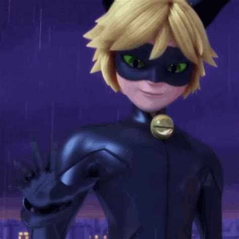 Chat Noir Miraculous Ladybug  Chat Noir Miraculous Ladybug