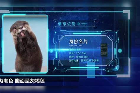 鳄鱼都害怕的水中平头哥吃鳄鱼如同家常便饭到底有啥本领 鳄鱼 家常便饭 本领