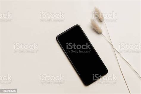 현대 전자 장치 정물 검은 휴대 전화는 마른 토끼 꼬리 잔디 라구루스 Ovatus와 조롱 햇빛에 베이지 색 테이블 배경 플랫 레이 상단 보기 여름이나 가을 장면 배경 주제에