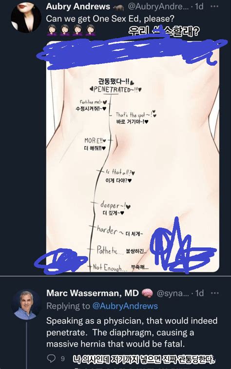 오늘의 불타는 짤 트위터에서 야짤을 본 의사들 댓글에 본문👇