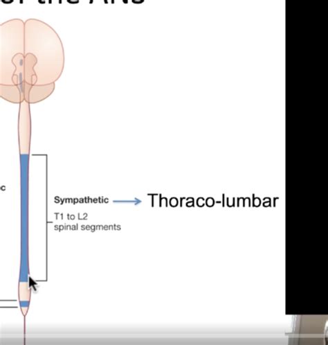 Lecture 6 Flashcards Quizlet