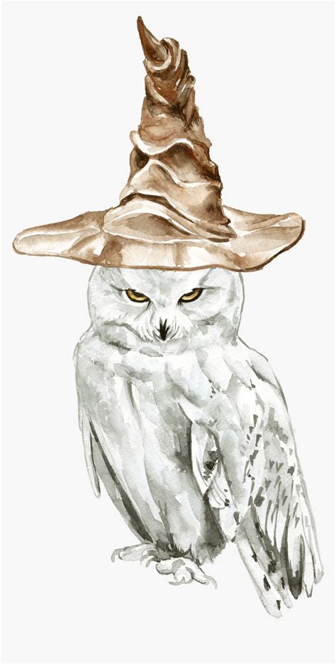 Сова из гарри поттера картинки для печати