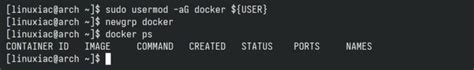 How To Install Docker On Arch Linux A Step By Step Guide