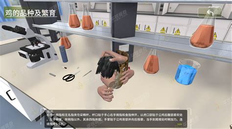 鸡养殖VR虚拟仿真教学软件 广州华锐互动