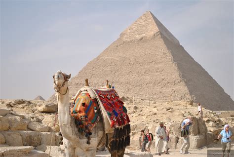 Из Екатеринбурга запускают прямые рейсы в Египет