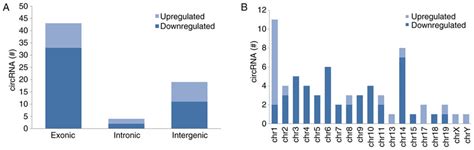 Features Of Altered Circrnas A Most 98 Of The Circrnas Altered