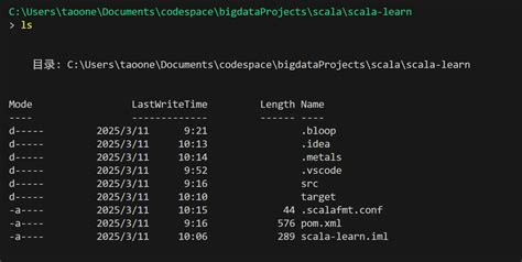 Vscode终端美化显示，第一行显示路径，第二行输入命令