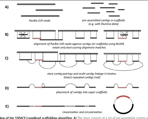 Genome Assembly Bch709 Introduction To Bioinformatics