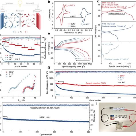 Shizhang Qiao University Of Adelaide Adelaide School Of Chemical Engineering Research Profile