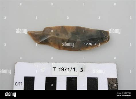 Flint Tool Tool Stone Flint 8 4 X 2 6 X 0 7 Cm Prehistory England Unknown Unknown