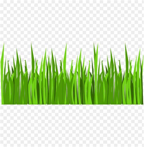 Трава вектор на прозрачном фоне