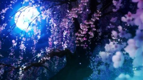 A Beautiful Night Sakura Scene From Natsume Yuujinchou