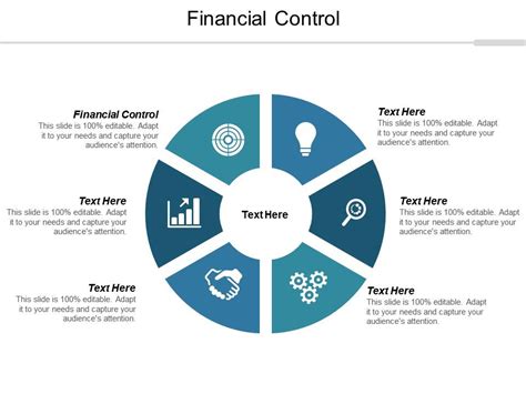 Financial Control Ppt Powerpoint Presentation Outline Graphics Example Cpb Powerpoint