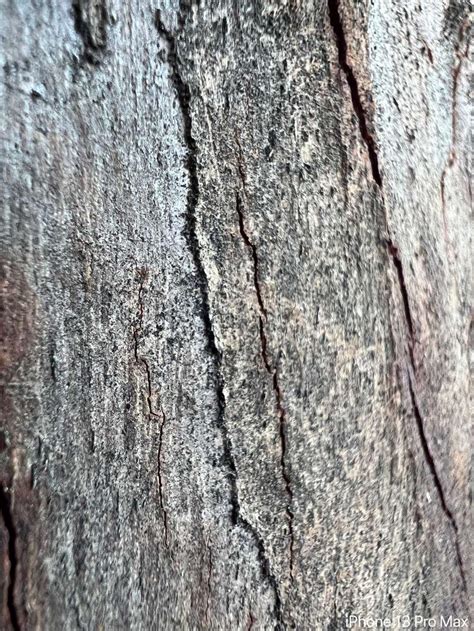 IPhone Macro Mode Supported Devices And How To Use It ITIGIC