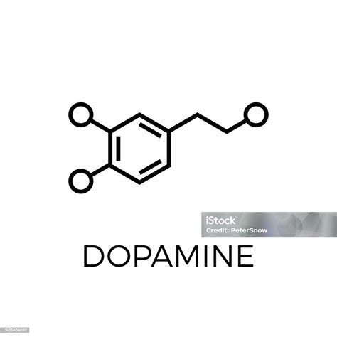 도파민 분자 구조의 벡터 얇은 선 아이콘 화학식 뇌에 대한 스톡 벡터 아트 및 기타 이미지 뇌 디자인 요소 생물학 Istock