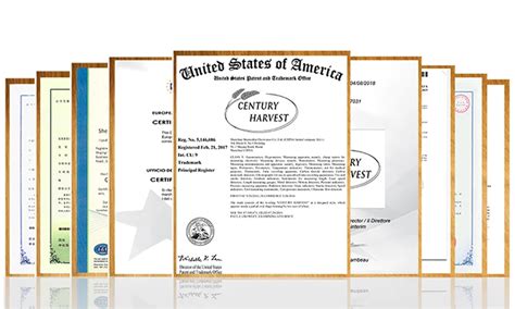 Classroom Timer Time Management Tool 60 Minute Visual Timer Countdown