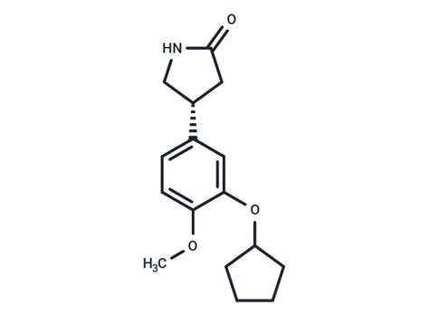 R Rolipram DNA PK TargetMol