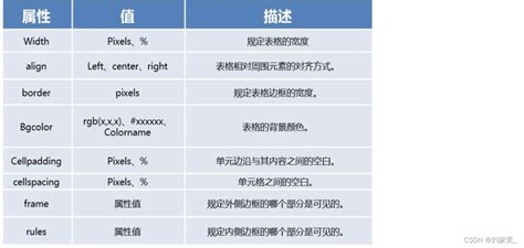 Html中的table标签属性html Table打钩属性 Csdn博客