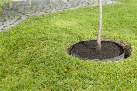 ROOT BARRIER HDPE FOR LANDFILL GEOTEXTILE On Carousell