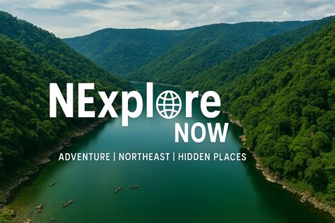 Lone Tree Clicked During Early Morning Bird Watch With A Local Guide