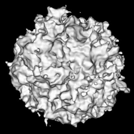 Anti Aliasing Test Pattern From Left To Right No Anti Aliasing