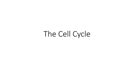 Cell Cycle Mitosis Aqa Gcse Biologypptx