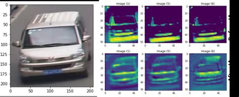 Feature Map Correction After Input Attention Top Features Are Skewed