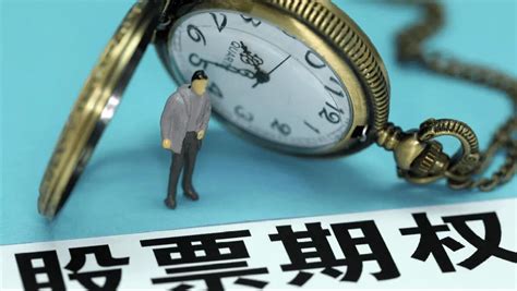 国内主要的期权品种有哪些 哔哩哔哩