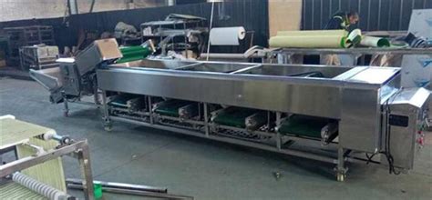 Mushroom Sorting Machine Mushroom Grading Machine Mushroom Grader