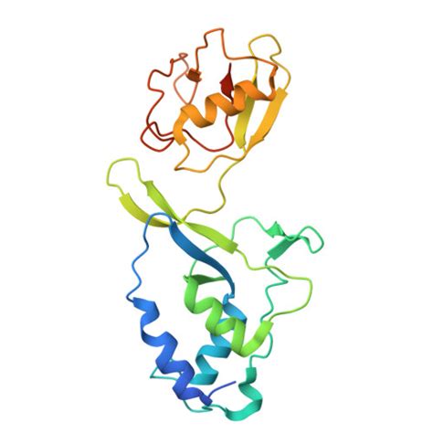 Gene Q13107 Protein Usp4 Cell Line Evidence Cansarai