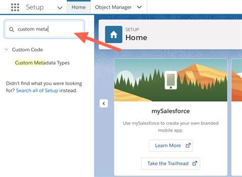 Custom Metadata Settings