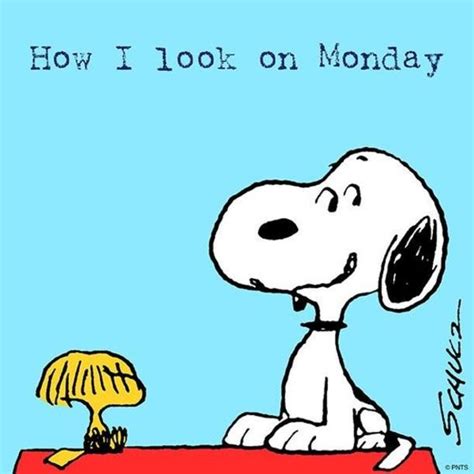 50 Of The Best Monday Quotes And Images To Love And Share Snoopy