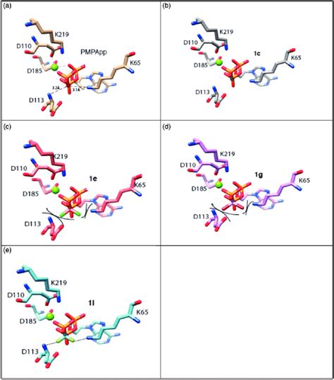 A Structure Of Hiv 1 Rt Active Site In Complex With Pmpapp B C Download Scientific