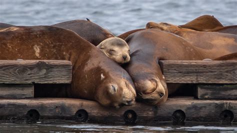 Colin Forths Favorites Flickr