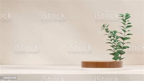 3d 렌더링 나무 질감의 빈 공간 실린더 연단에 녹색 잎 식물이 있는 풍경 나뭇결 무늬에 대한 스톡 사진 및 기타 이미지 나뭇결 무늬 잎 0명 Istock