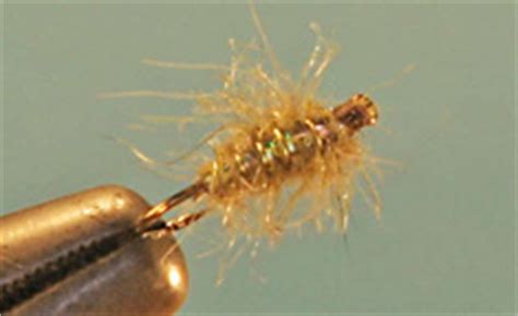 Sow Bug Fly Tying Love The Outdoors