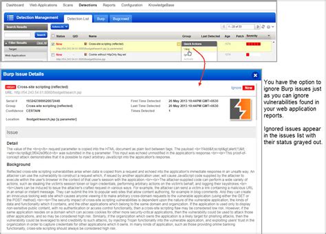 Manage Burp Findings