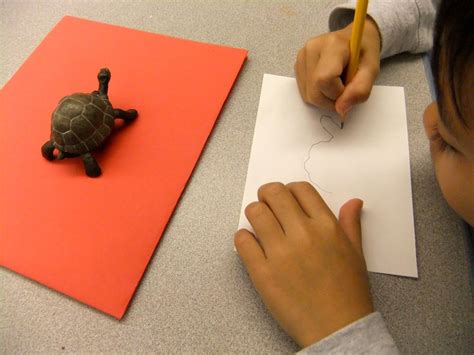 How To Draw Observational Drawings