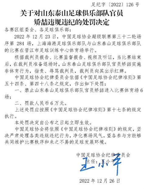 中国足协连开两张罚单涉及山东队官员和武汉队球员 处罚 马尔康 违纪