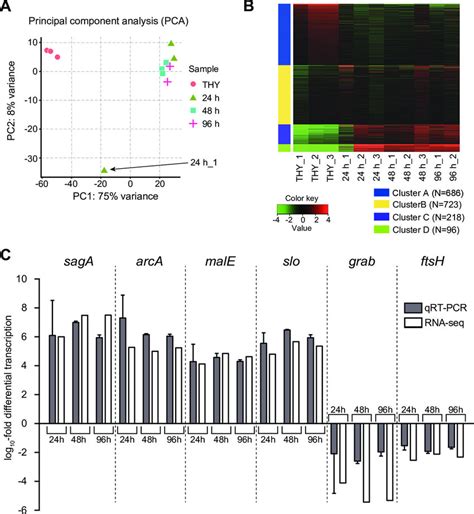 rna seq global reports a principal component analysis pca plot of