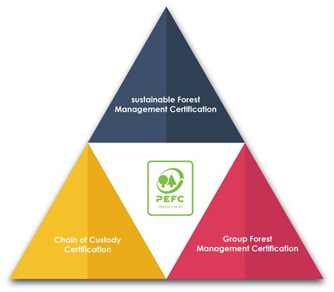 Pefc Certification Promote Sustainable Forest Management And Responsible Sourcing Gscs