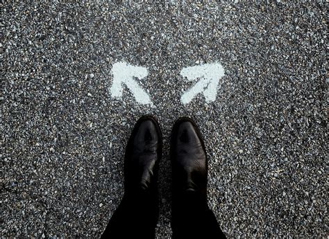 How To Pick Between Data Science Data Analytics Data Engineering Ml Engineering And Sw