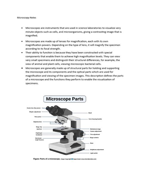 Microscopy Notes And Activity Pdf Microscope Optics