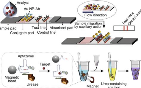 20 A Lft Based Colorimetric Biosensor B Solution Based Download Scientific Diagram
