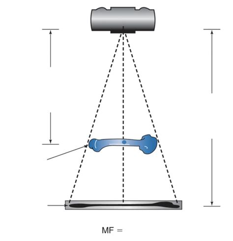 Magnification Factor Determining Object Size And Determining Object