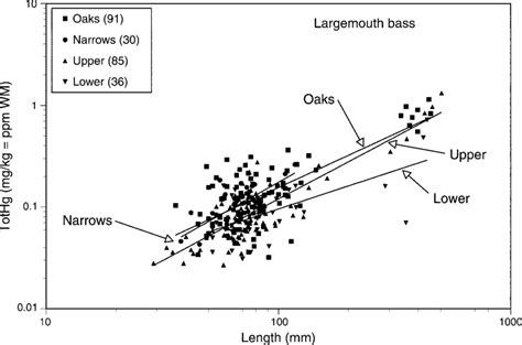 Spatial Variation Of Muscle Total Mercury Tothg Wm Wet Mass As A