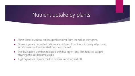 Factors Affecting Soil P H Pptx