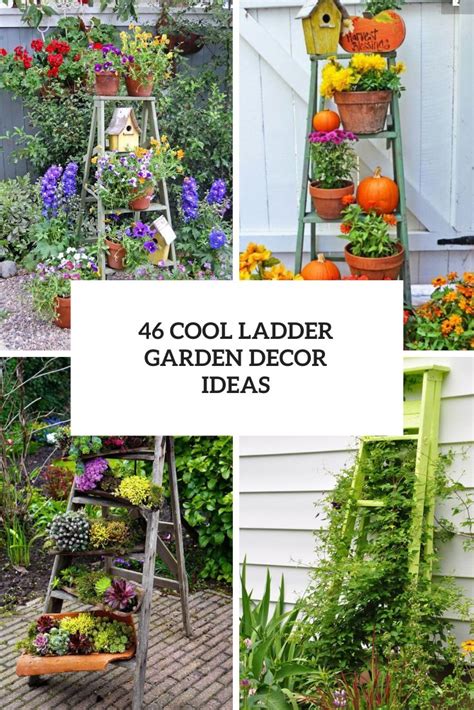 Old Ladder Ideas For Garden