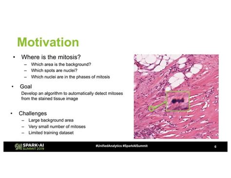 A Distributed Deep Learning Approach For The Mitosis Detection From Big Medical Images Pdf
